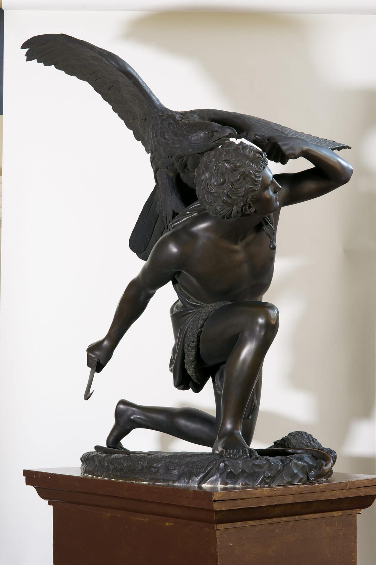 Shepherd Boy and Eagle